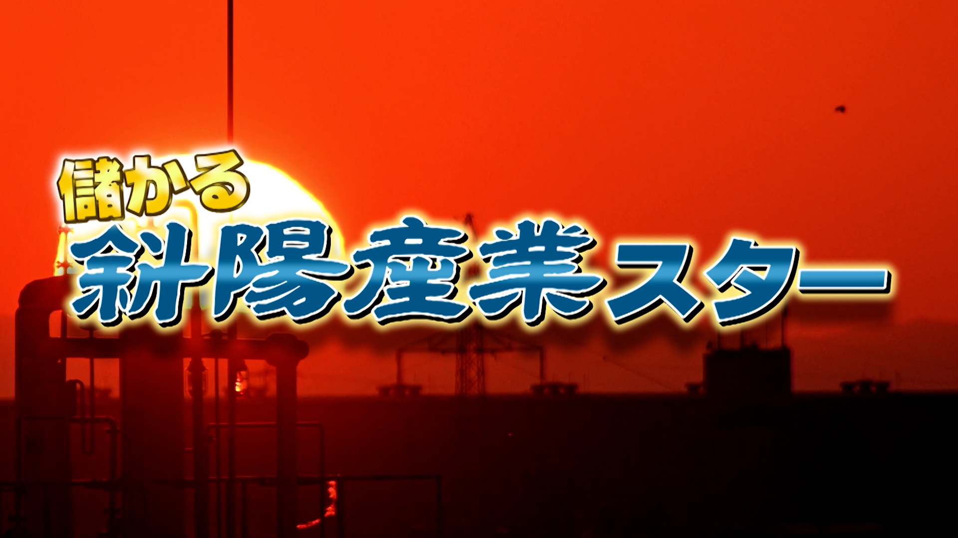 がっちりマンデー!! 儲かる斜陽産業スター | 無料見逃し配信中！＜TBS FREE＞
