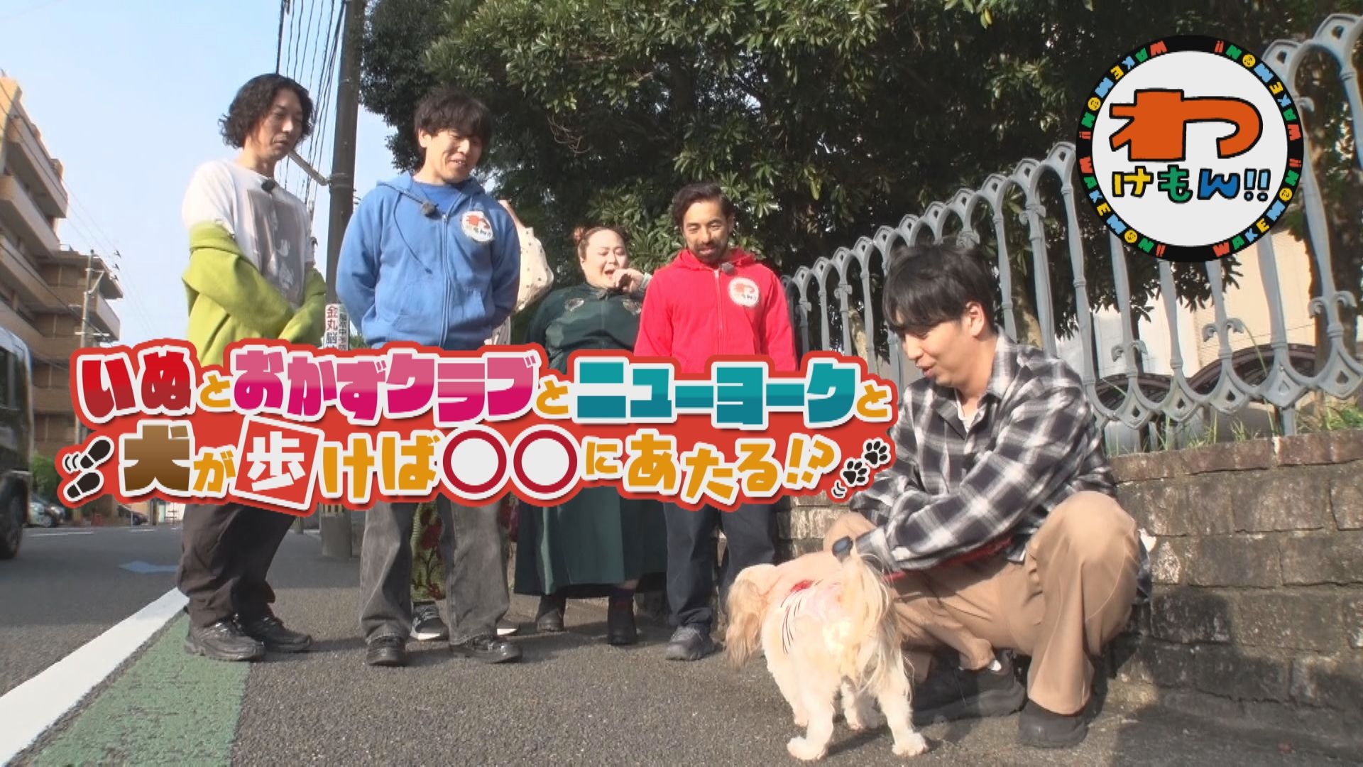 わけもん！！ たつるくん究極の血抜きを体験＆RefRiseのREOさんに密着＆週刊日向坂ニュース＆いぬ・おかずクラブ・ニューヨークが犬と歩けば ...