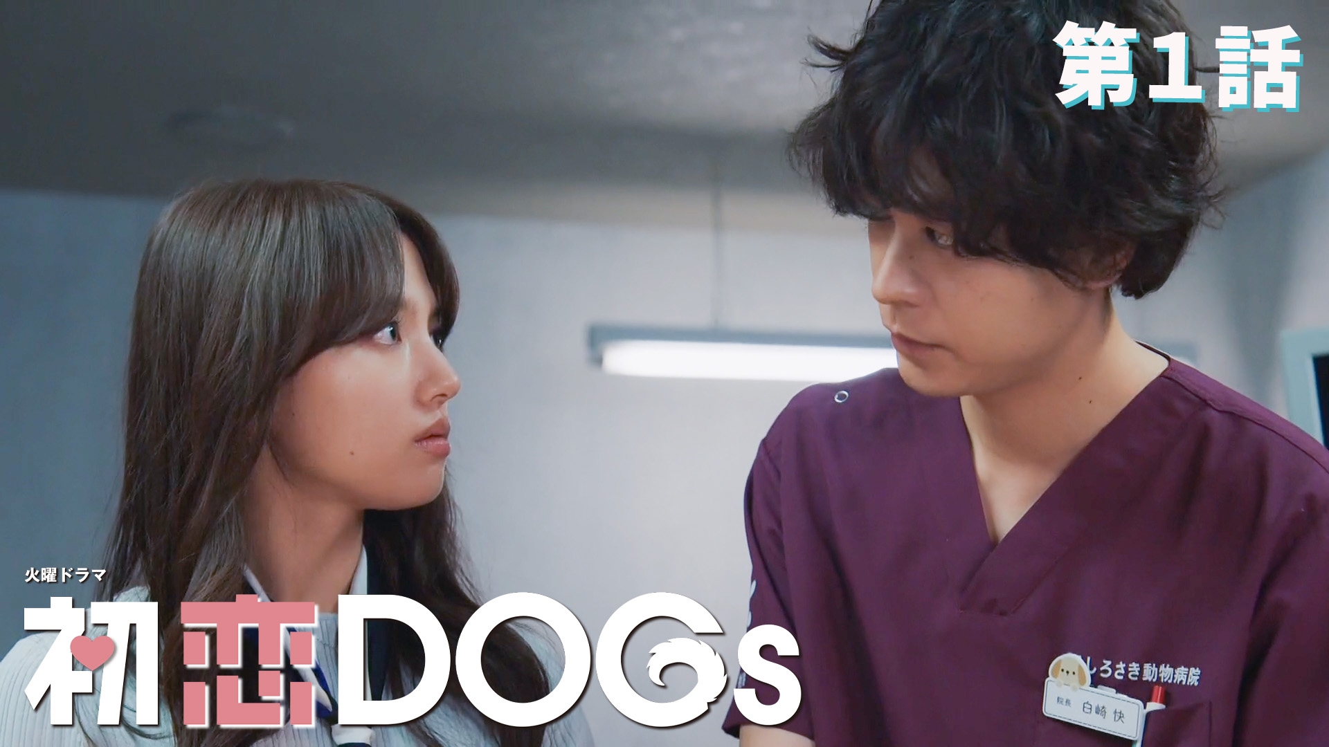 初恋DOGs 第1話 こじらせ大人たちの国を越えた初恋物語 | 無料見逃し配信中！＜TBS FREE＞