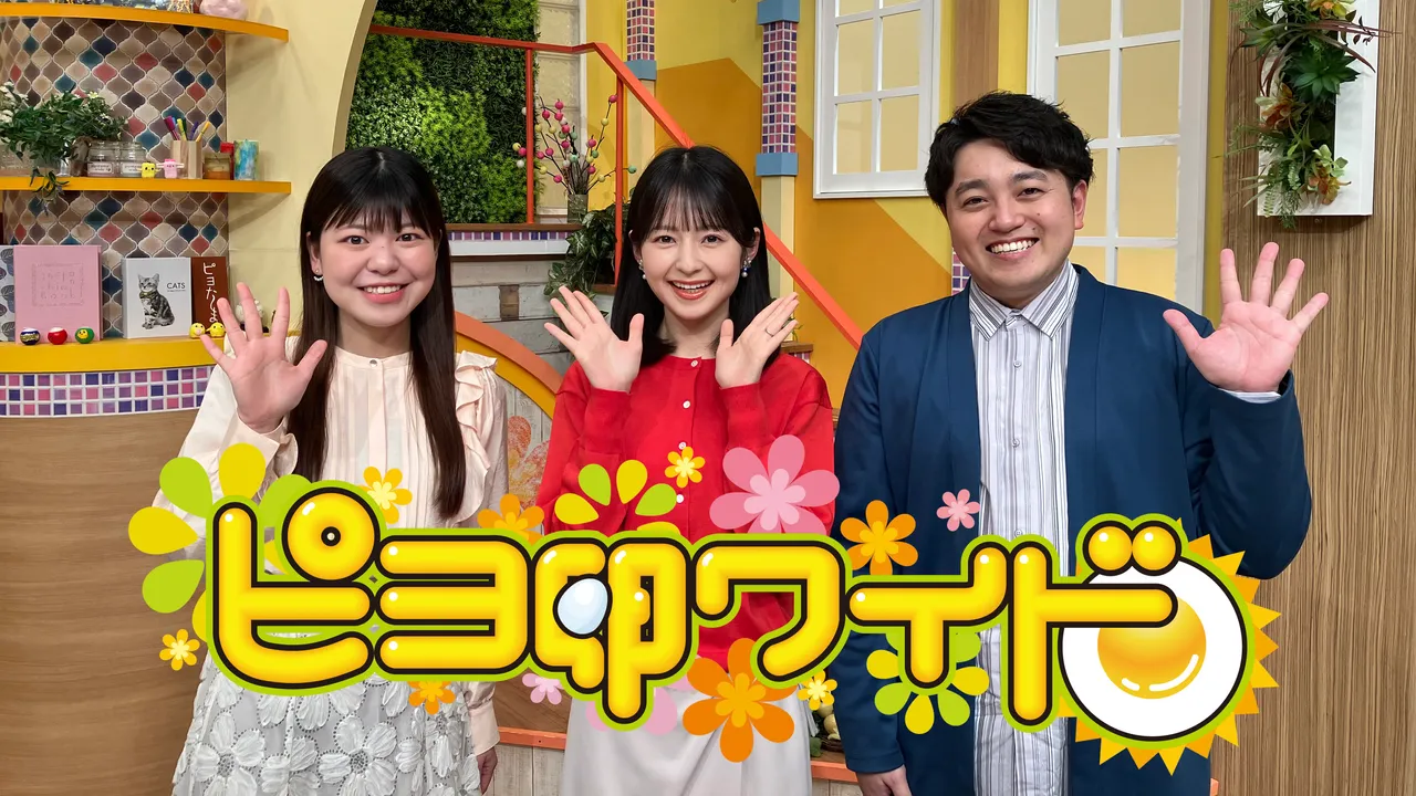 ピヨ卵ワイド | YBCオンデマンド